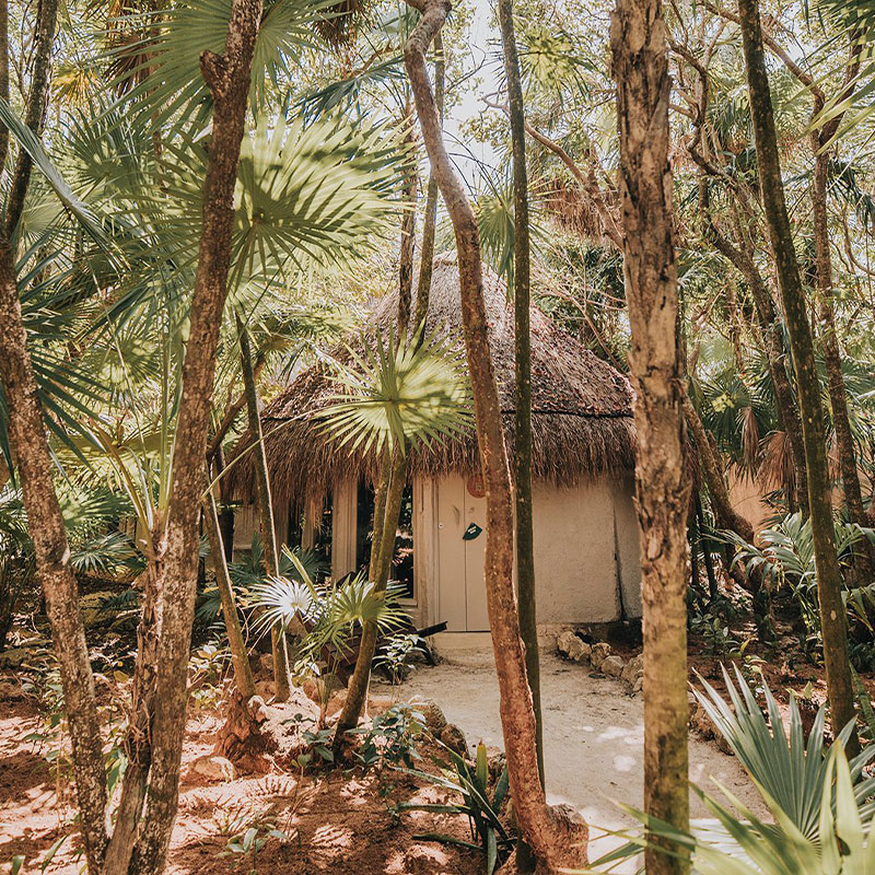 Papaya Playa Project (Tulum, Riviera Maya) 31 Verified Reviews | Tablet ...